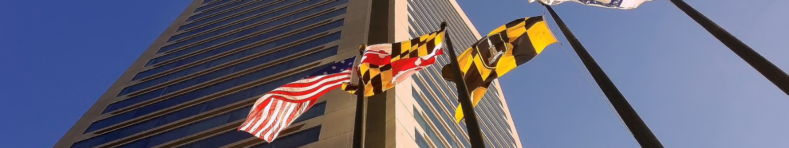 Financial Advisor in Westminster, Maryland | Lighthouse Wealth Management